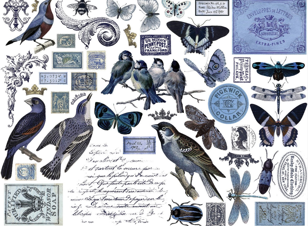 Blue Bird Transfer – Foxtrot Home